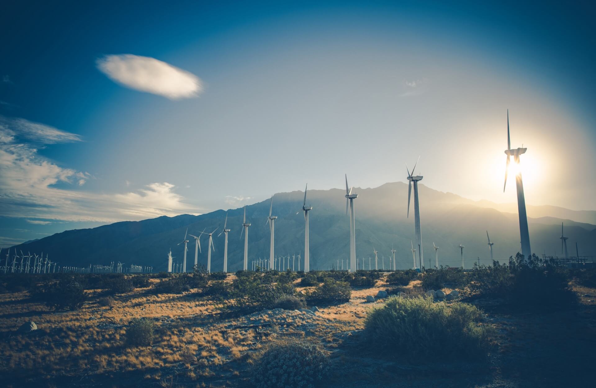 T2 Metals Provides New Year Update And Outlook For 2026 - T2 Metals Corp.